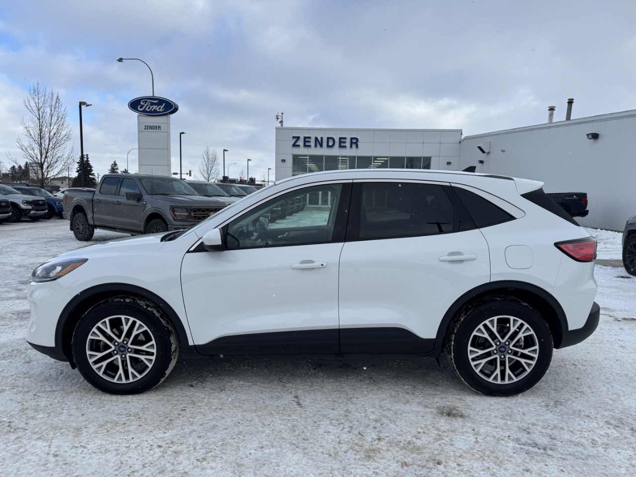 2022 FORD ESCAPE SEL for sale at Zender Ford.