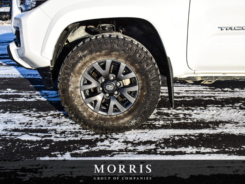 2023 TOYOTA TACOMA for sale at Alfa Romeo of Winnipeg.